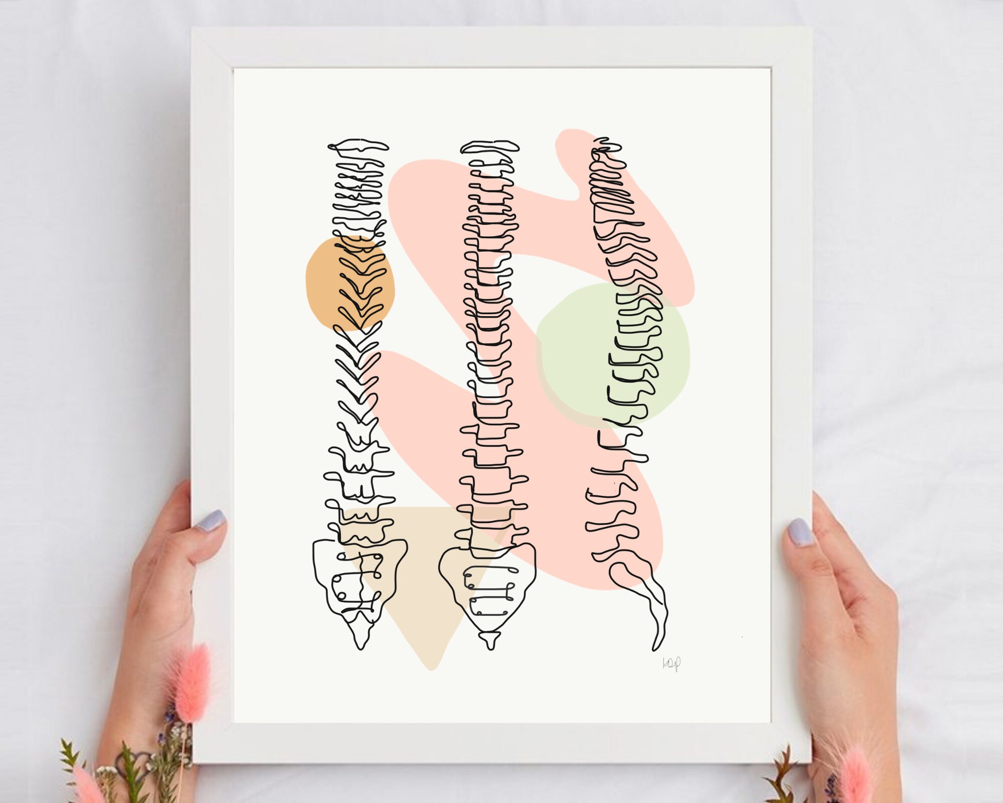 Spine Views 3 | Anatomy Prints Drawing Minimal Abstract Line Art Spinal ...