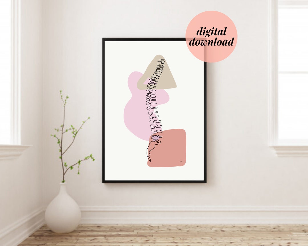 Full Spine View | Anatomy Drawing Spinal Column Line Art | Minimalist ...