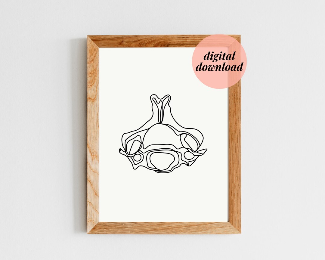 Cervical Spine Vertebra Black and White - Line Bone Anatomy Drawing ...