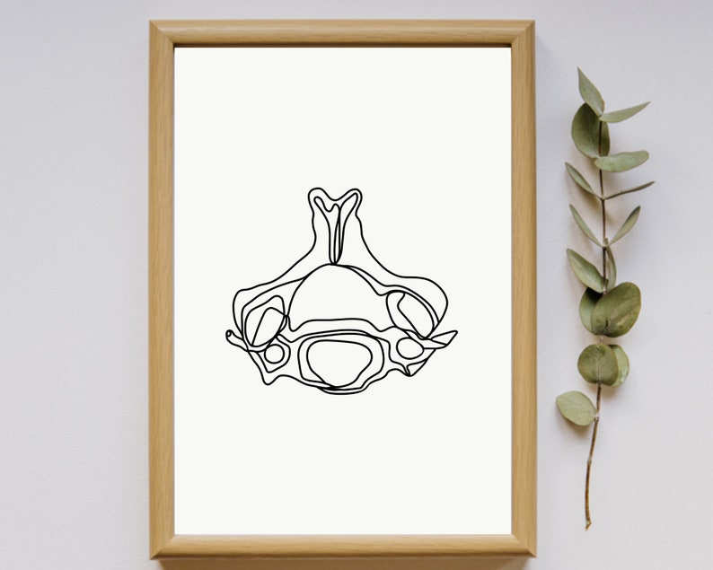 Cervical Spine Vertebra Black and White - Line Bone Anatomy Drawing ...