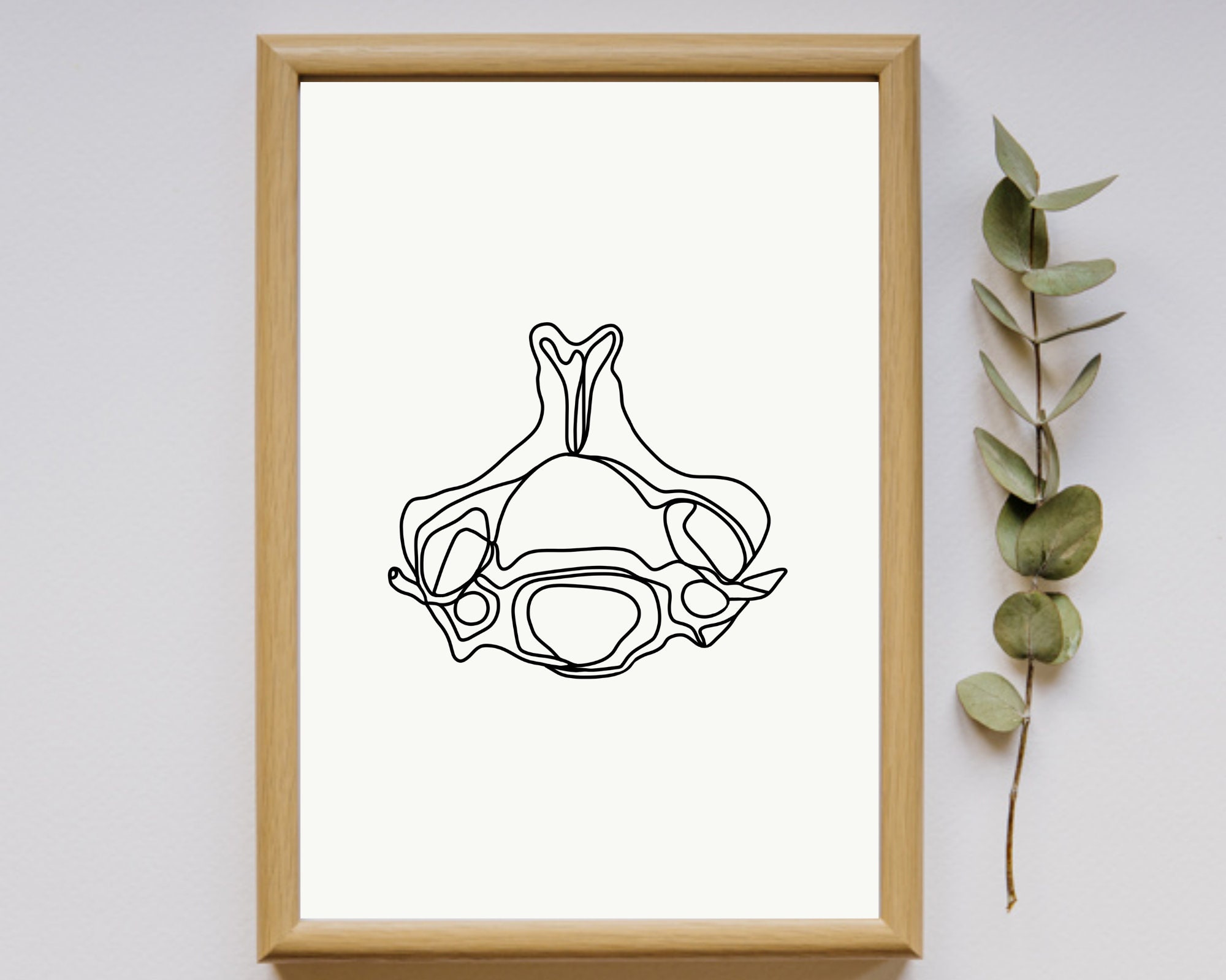 Cervical Spine Vertebra Black and White - Line Bone Anatomy Drawing ...