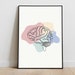 Brain Printable Human Anatomy Minimal Neurology Neuro Line Art Nervous ...