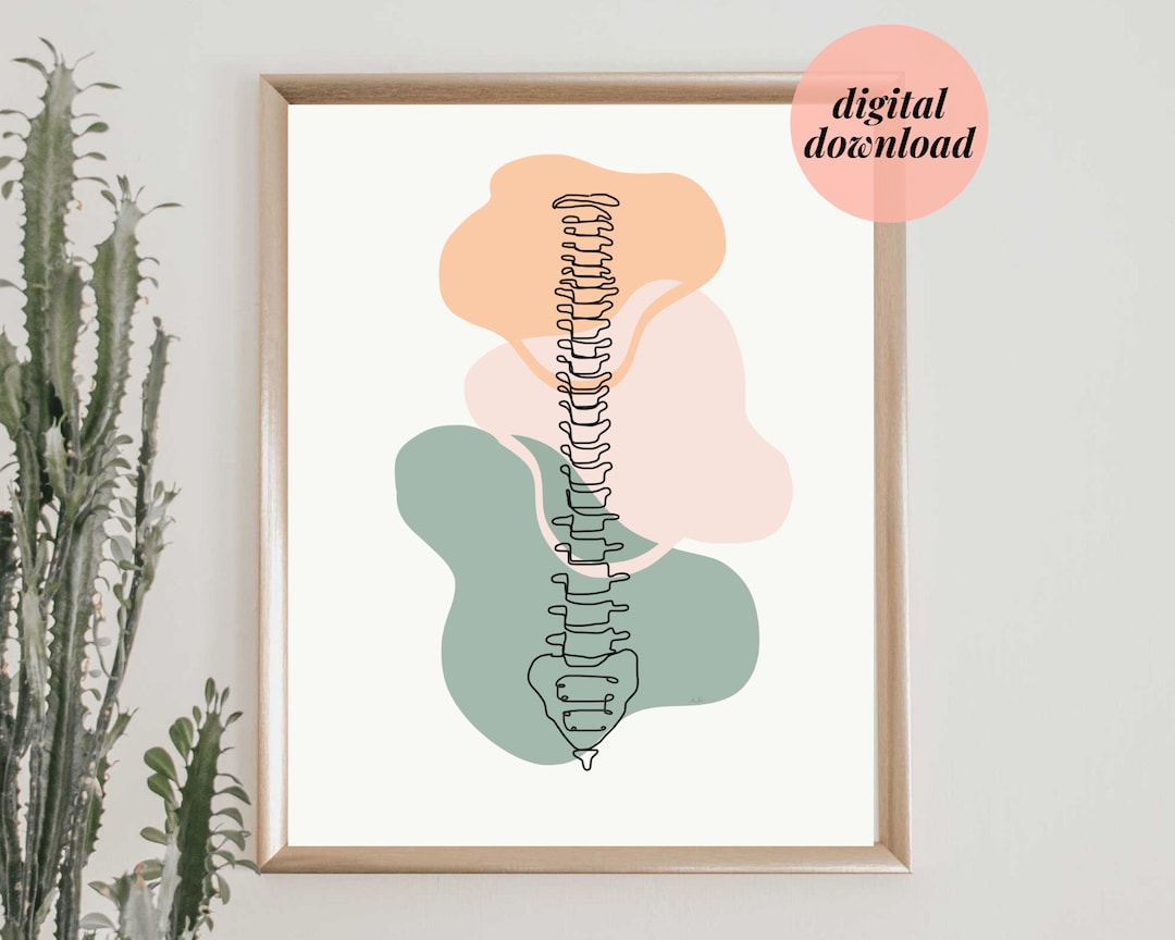 Full Spine Front View | Spinal Column Line Anatomy Drawing Minimalist ...