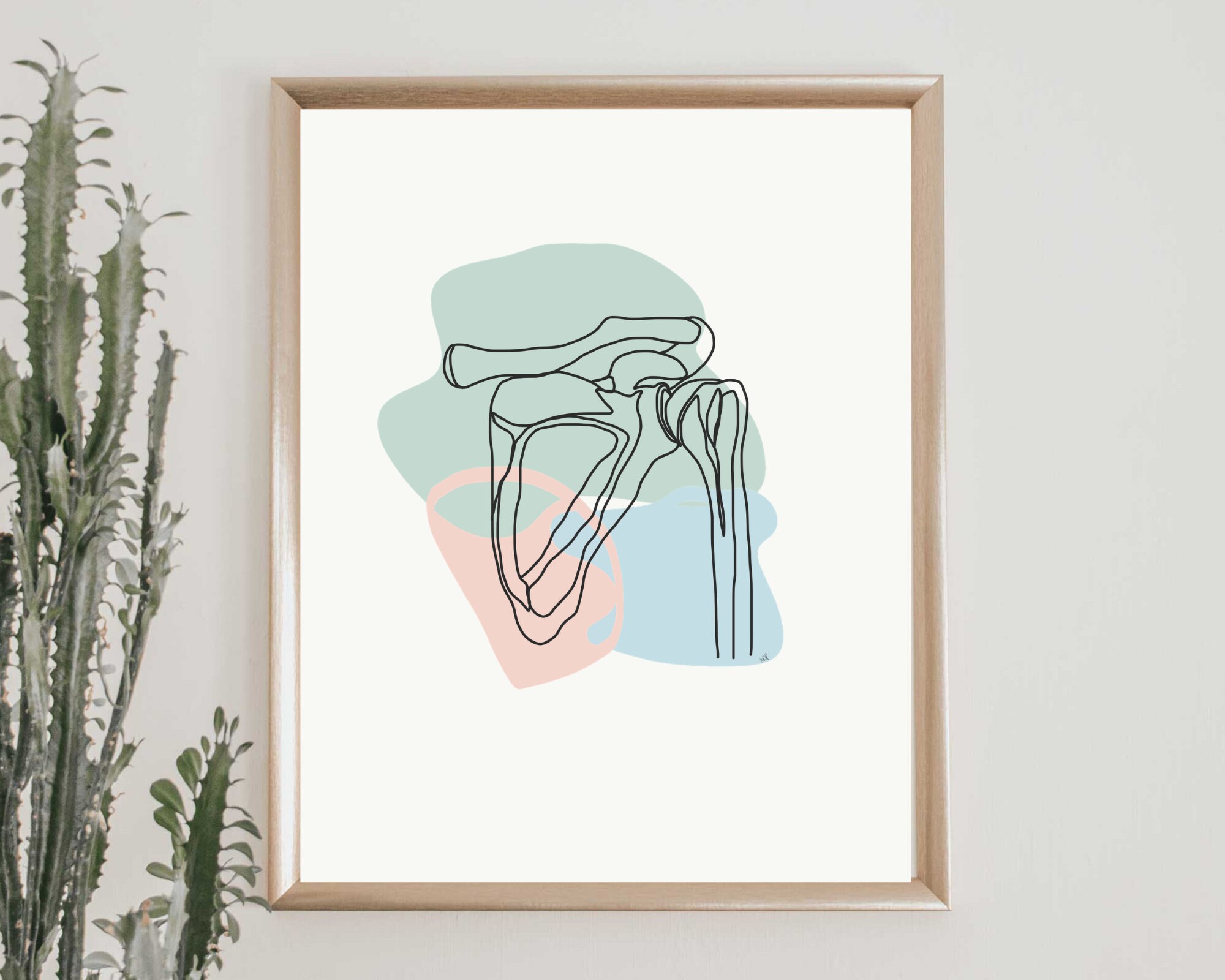 Shoulder Printables | Shoulder Blade Scapula Line Art Anatomy ...