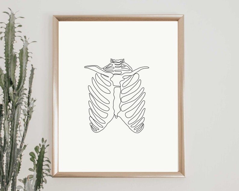 Line Rib Cage and Chest Bones Anatomy Drawing Minimalist Abstract ...