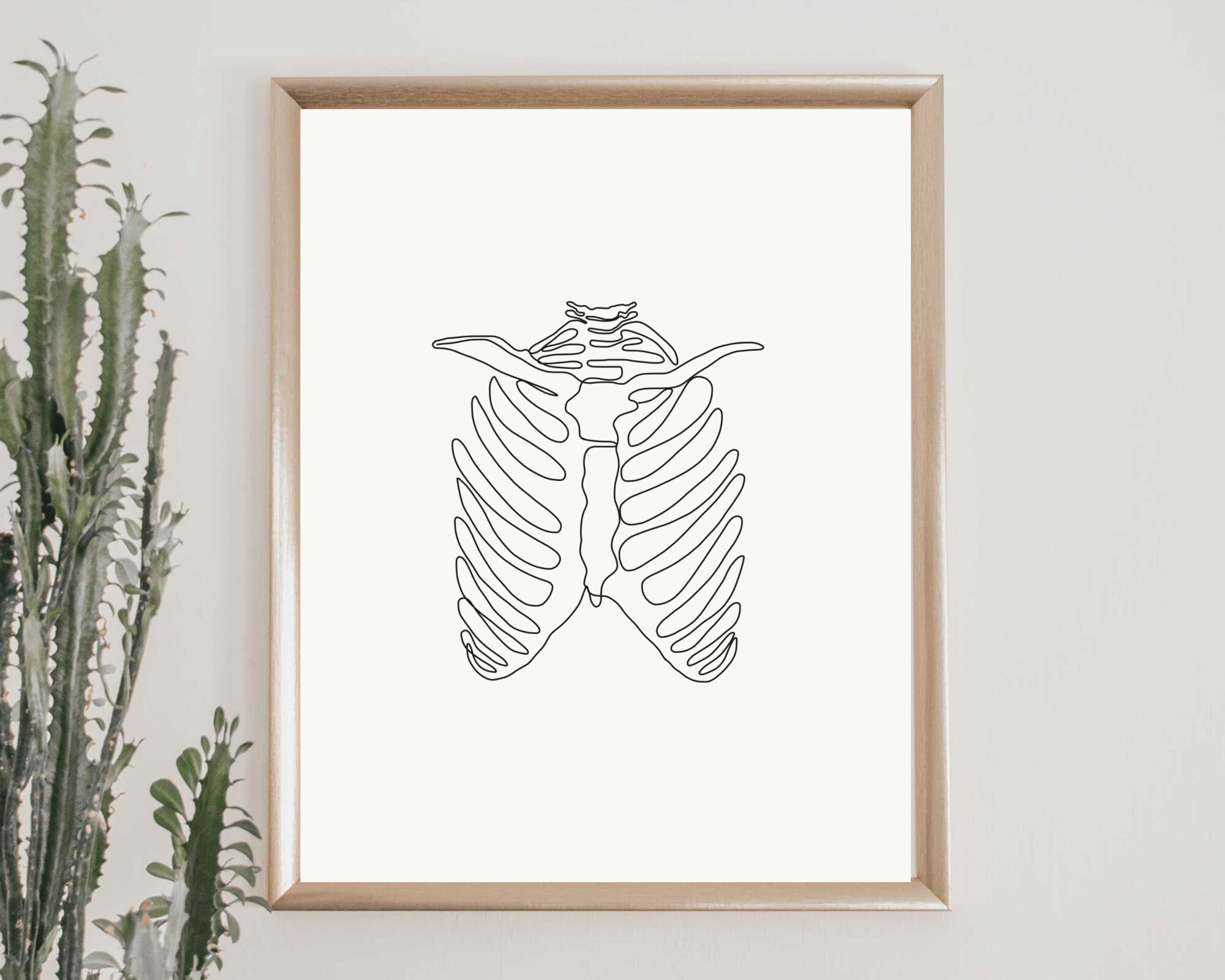 Line Rib Cage and Chest Bones Anatomy Drawing Minimalist Abstract ...