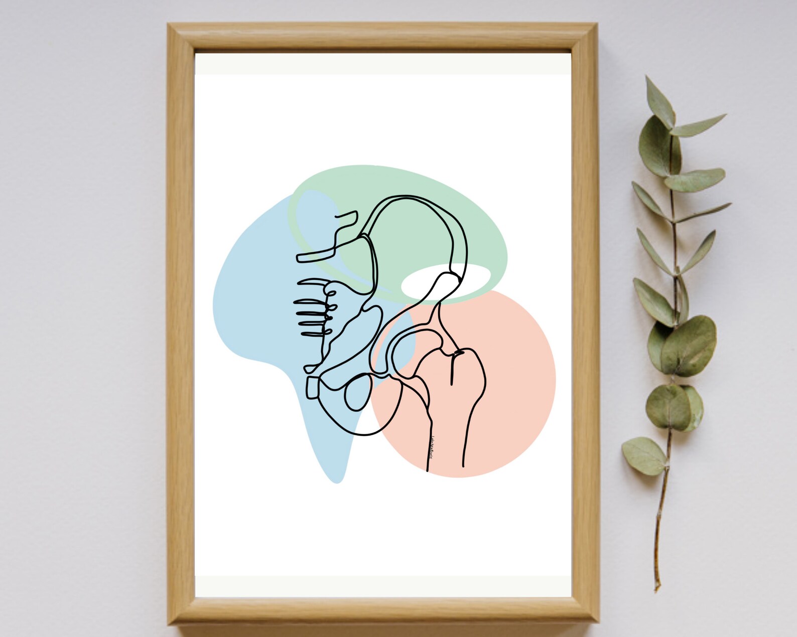 Half Pelvis Printable Pelvic Bone Line Art Anatomy Illustration ...