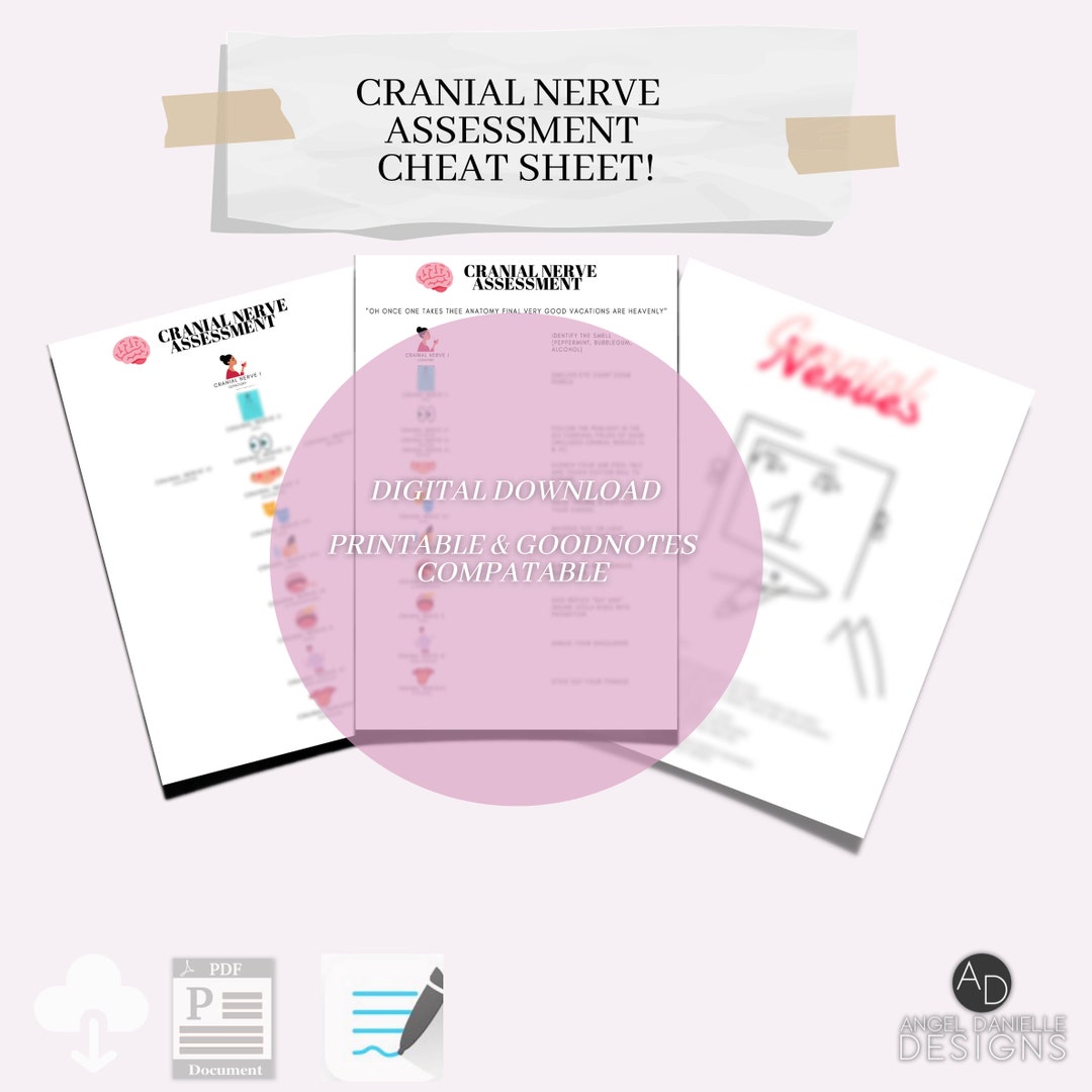 Cranial Nerve Assessment Cheat Sheet - Etsy