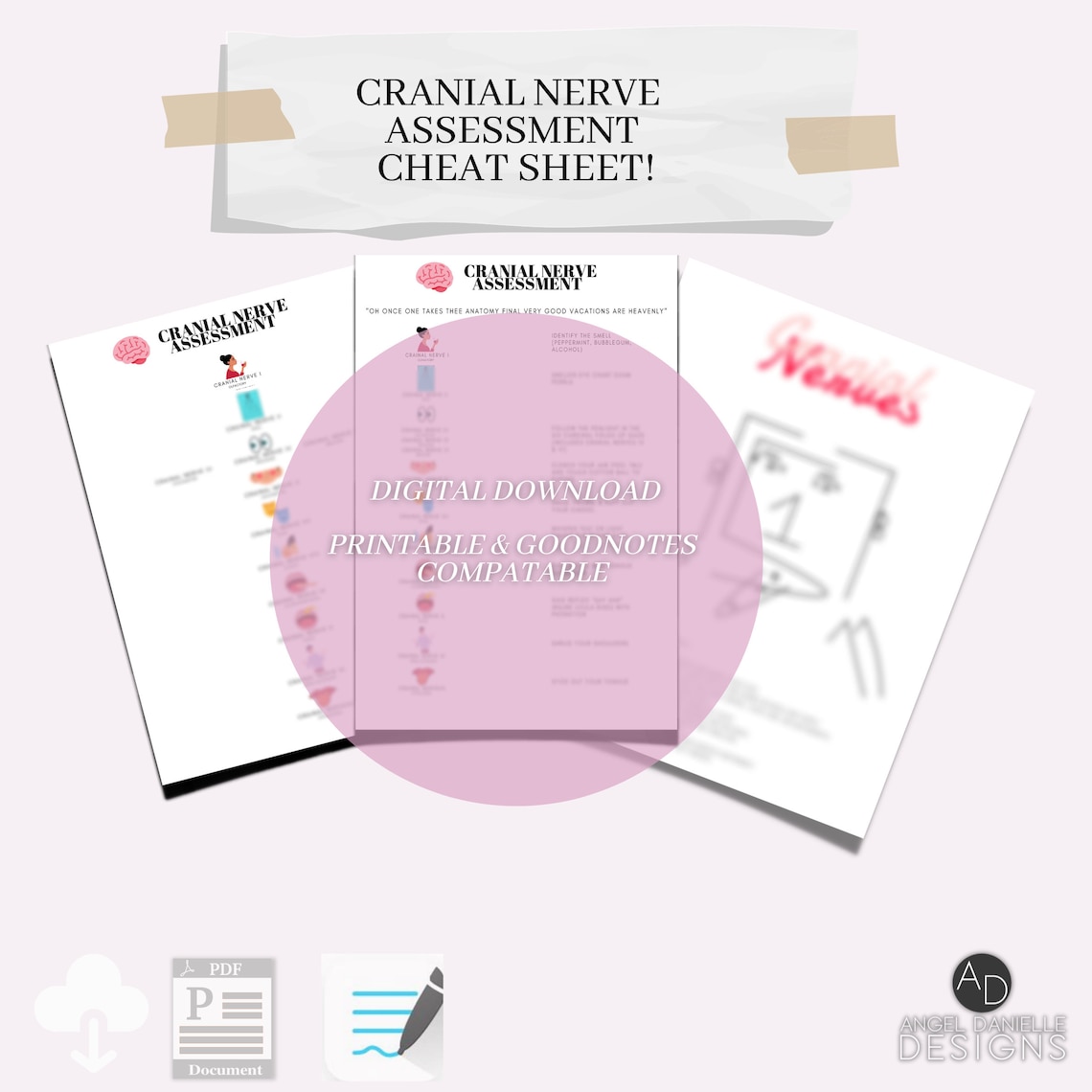 Cranial Nerve Assessment Cheat Sheet - Etsy
