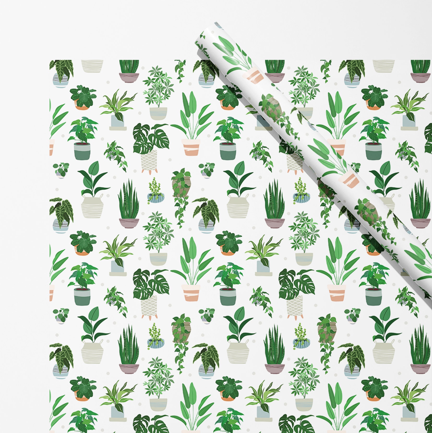 Houseplant Wrapping Paper Luxury Gift Wrap Houseplant Gift | Etsy UK