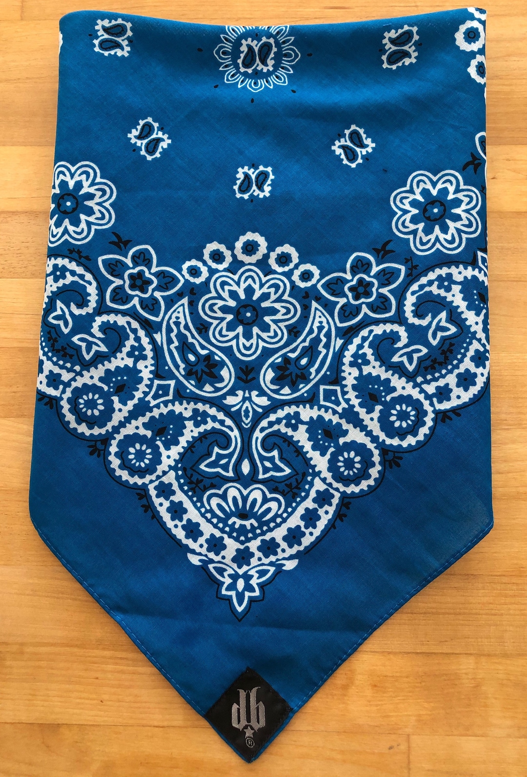 Bandana Quick Adjust Dust Bandit® Teal Paisley - Etsy