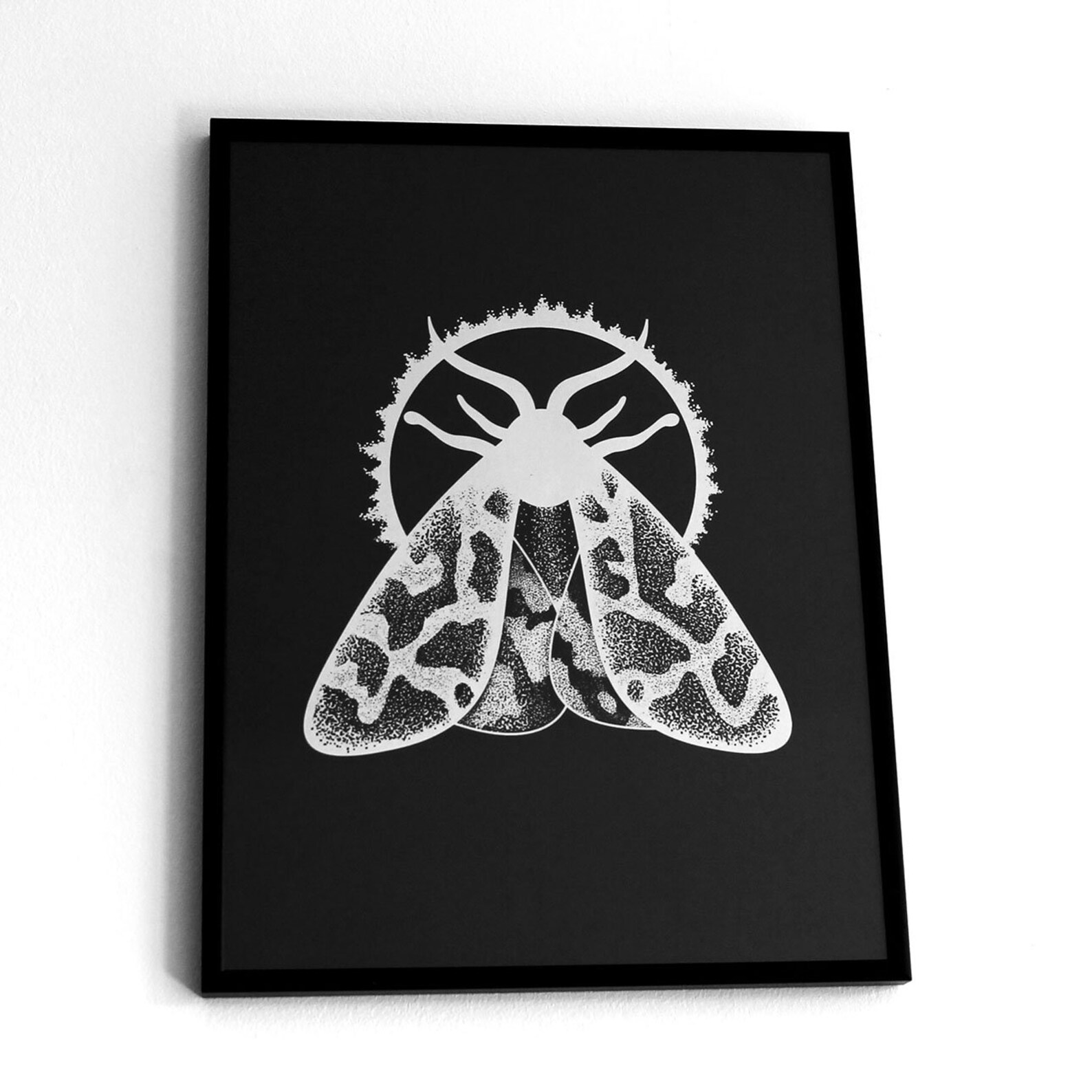 Moth Poster 30x40 | Etsy