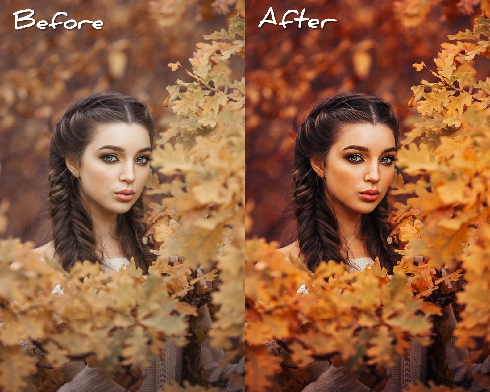 10 Mobile Lightroom AUTUMN Presets Autumn Fall Presets - Etsy