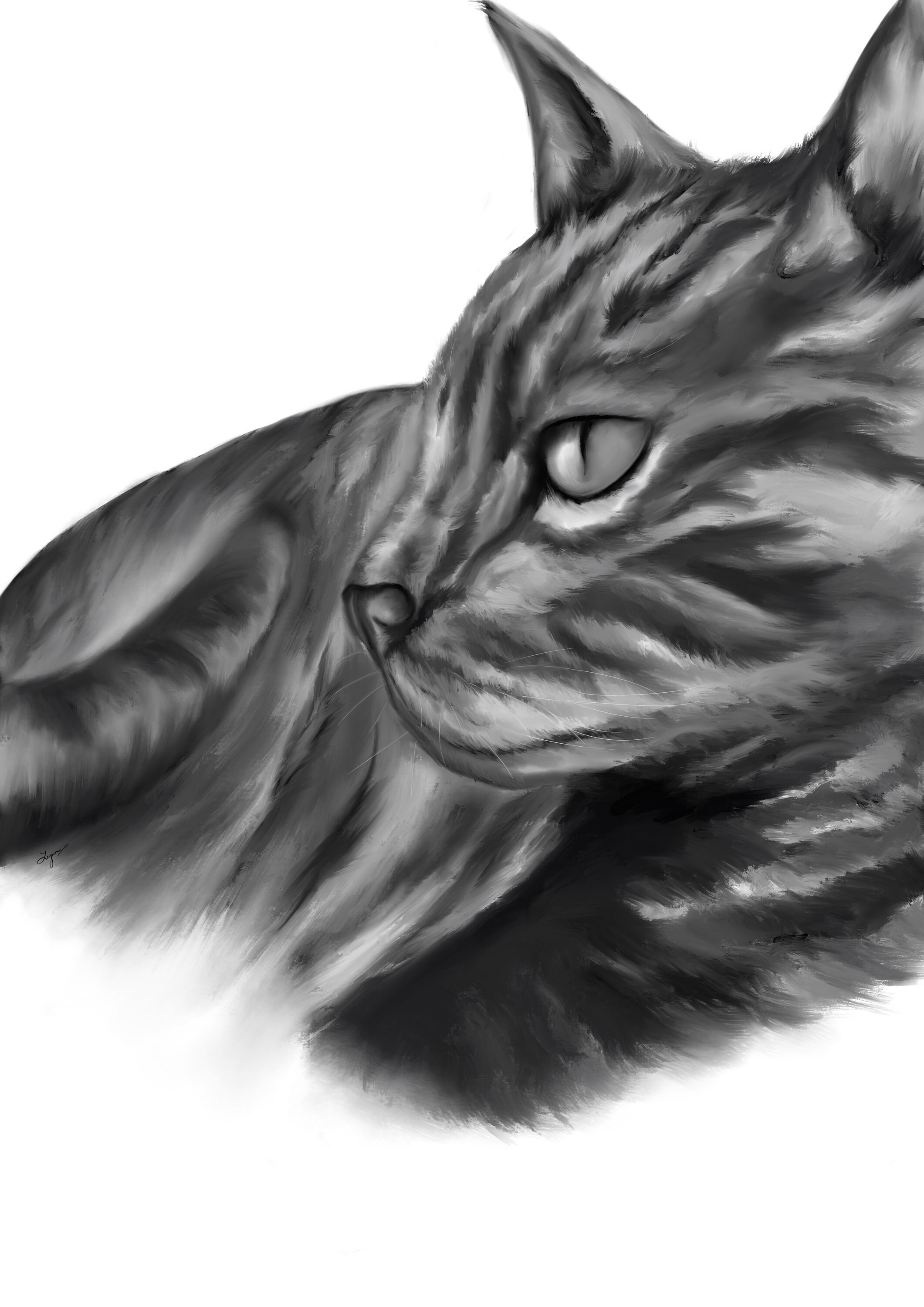 Realistic Cat Computer Drawing