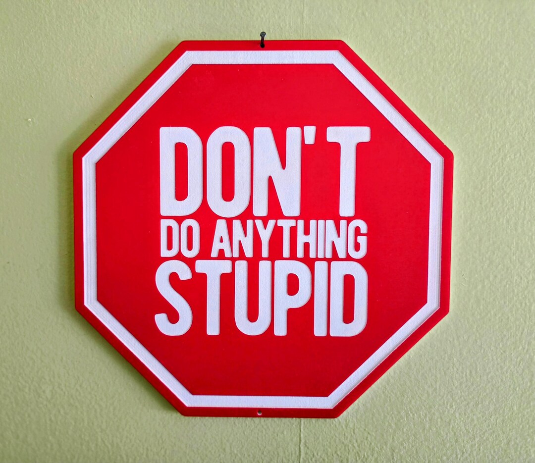 Stop Sign: Don't Do Anything Stupid / Acrylic Sign / Warning Sign ...