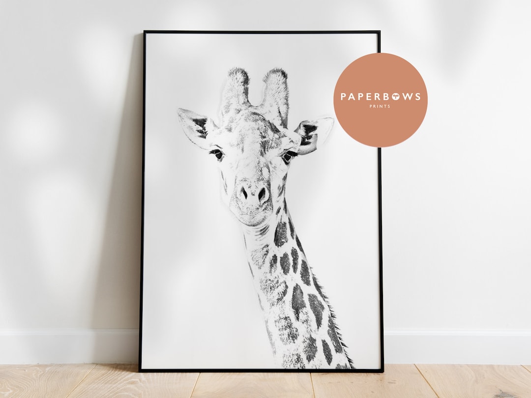 Giraffe Print | Black and White | Safari Print | Animal Prints ...