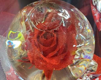 Preserved Rose Globe | Etsy