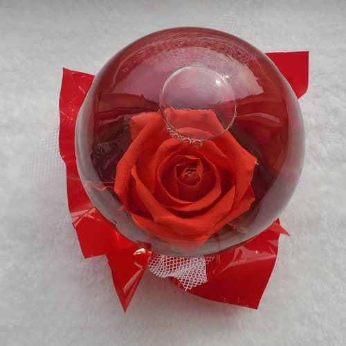 Forever Rose in Water Globe Water Rose Globe - Etsy