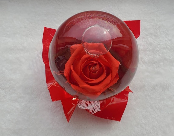 Forever Rose in Water Globe Water Rose Globe - Etsy