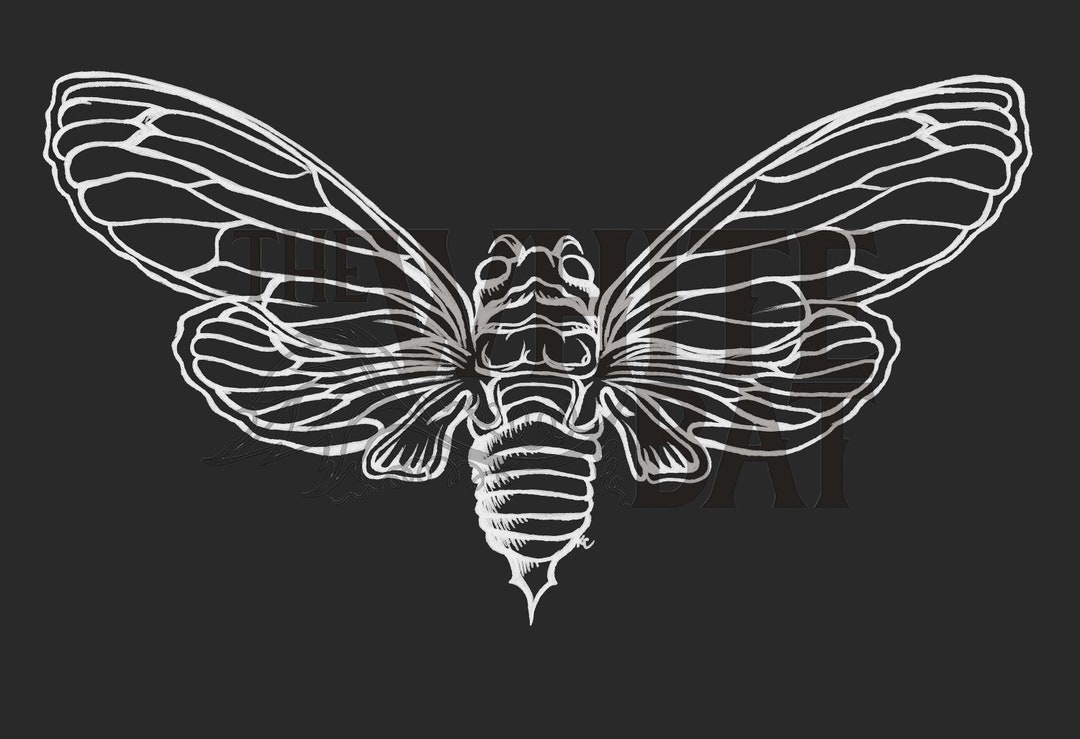 Moonlight Pharaoh Cicada - Digital Art (downloadable Image File - 800 ...