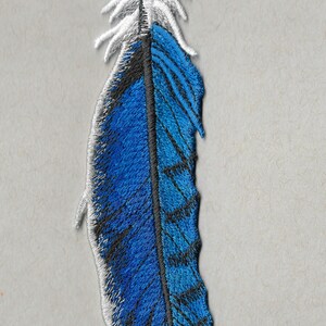 Freestanding Blue Jay Feather - Machine Embroidery Design - Digital ...