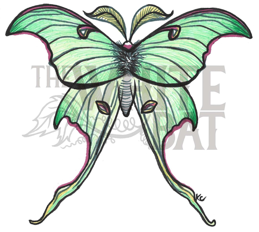 Luna Moth - Digital Art (downloadable Image File - 800 Ppi) - Etsy