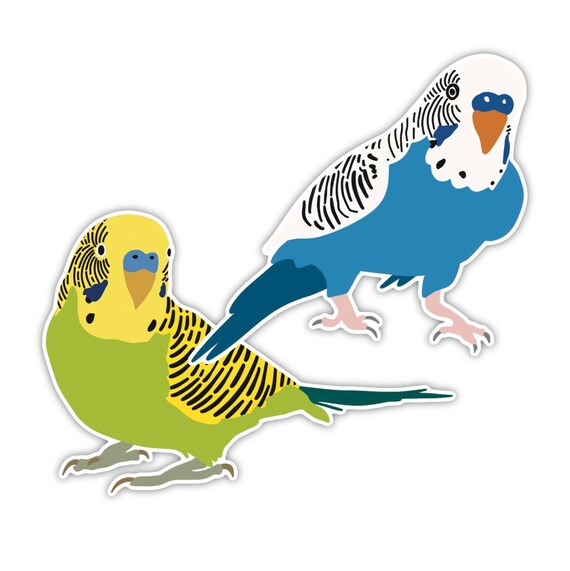 Parakeets Vinyl Sticker Laptop Stickers Vinyl Sticker | Etsy