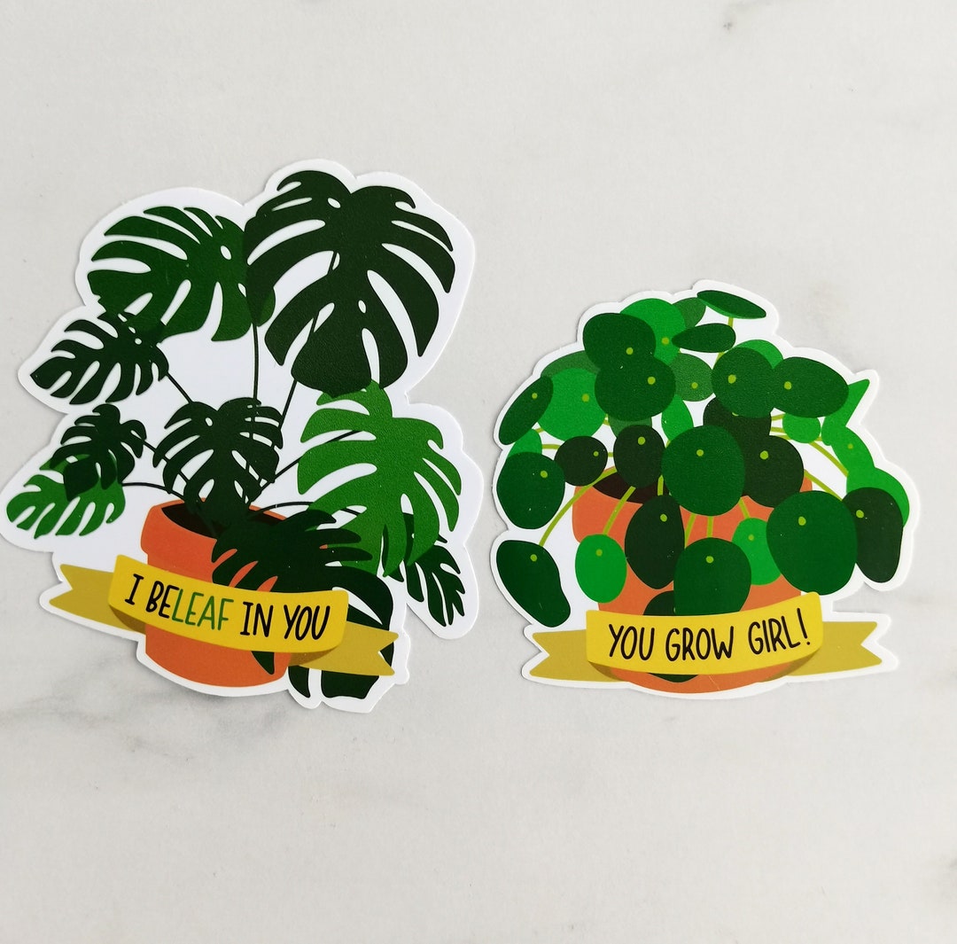 Monstera Deliciosa Vinyl Sticker Pilea Sticker Plant Stickers Vinyl ...