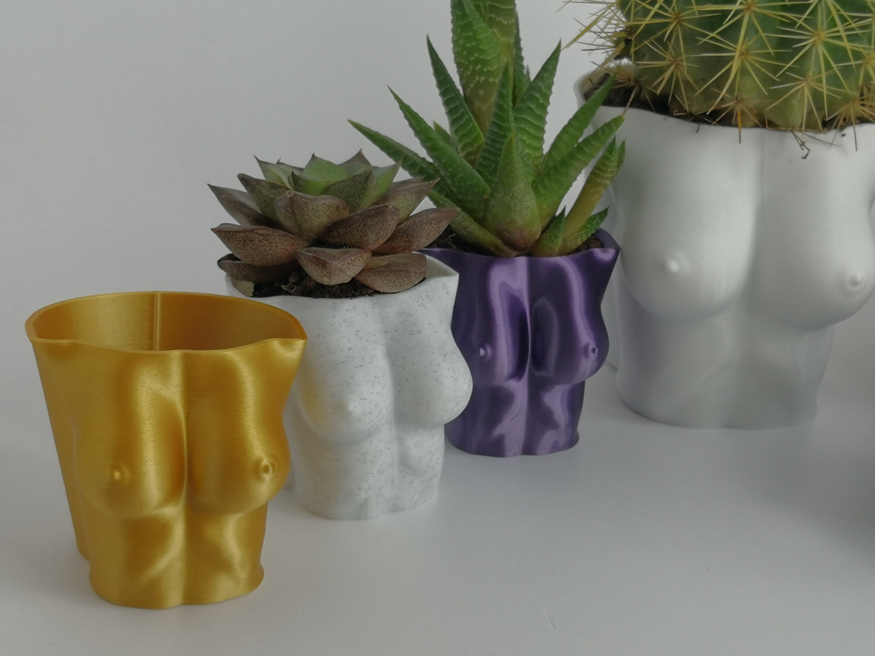 Woman Boob planter / Boobs plant pot / Boobies Pot / Nude | Etsy