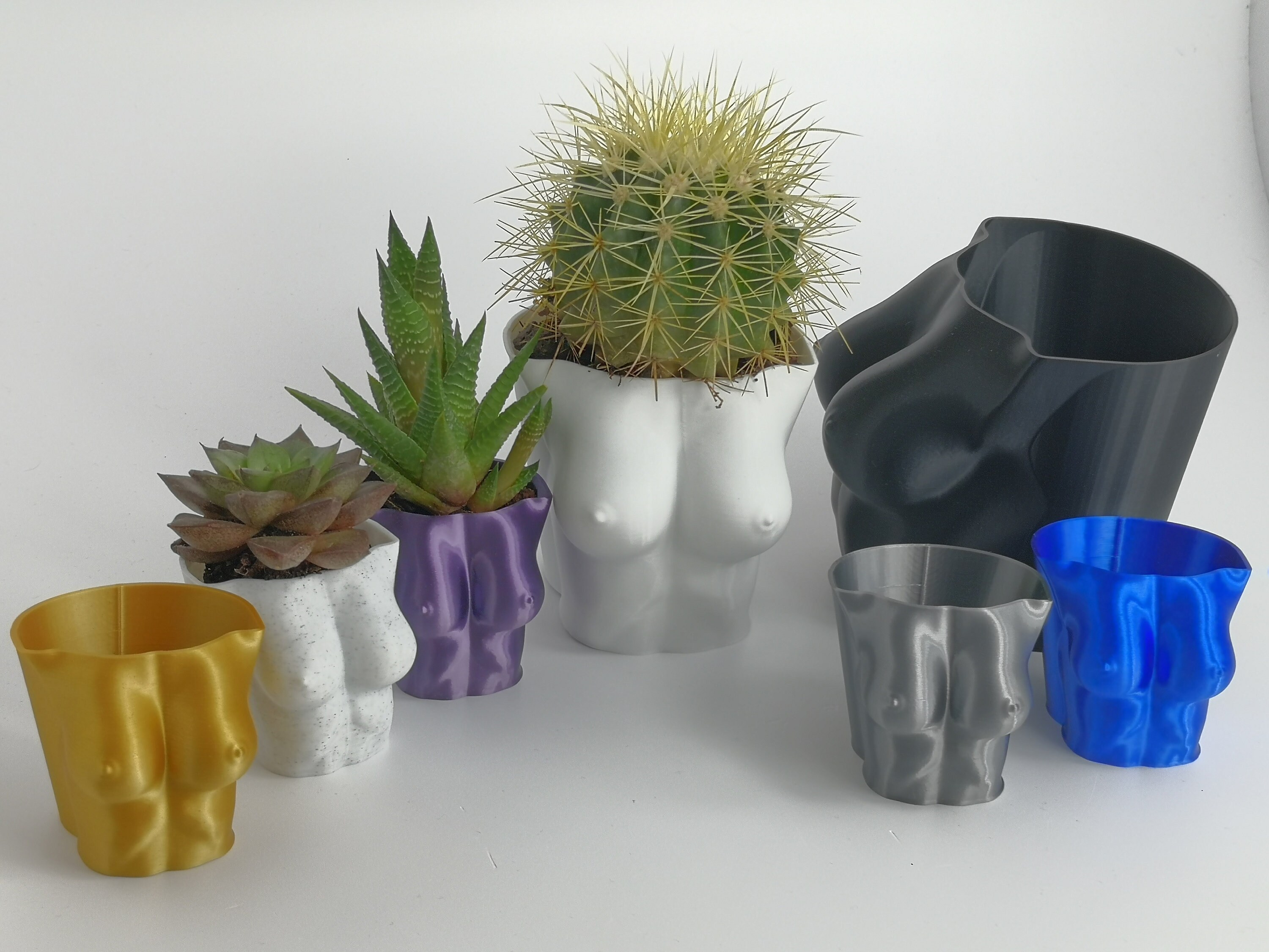 Nude Woman Boob Planter, Bioplastic Succulent Pot - Etsy