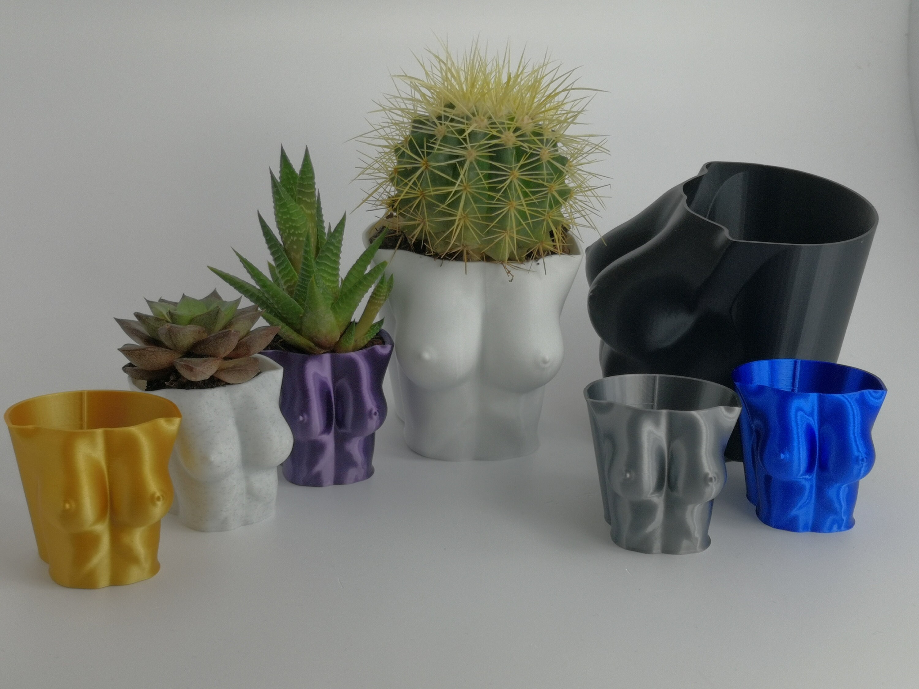Nude Woman Boob Planter, Bioplastic Succulent Pot - Etsy