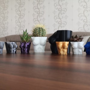 Woman Boob Planter / Boobs Plant Pot / Boobies Pot / Nude Woman Panter ...