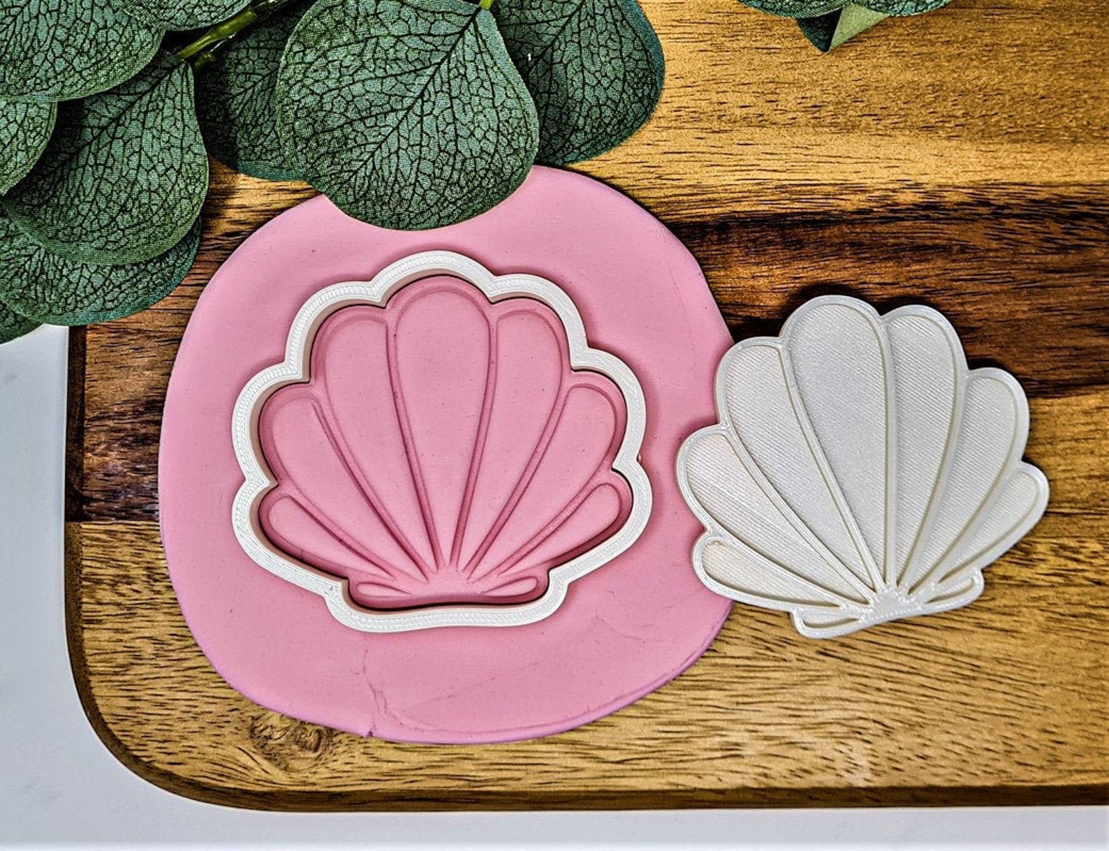 Seashell Cookie Cutter Stamp | Etsy