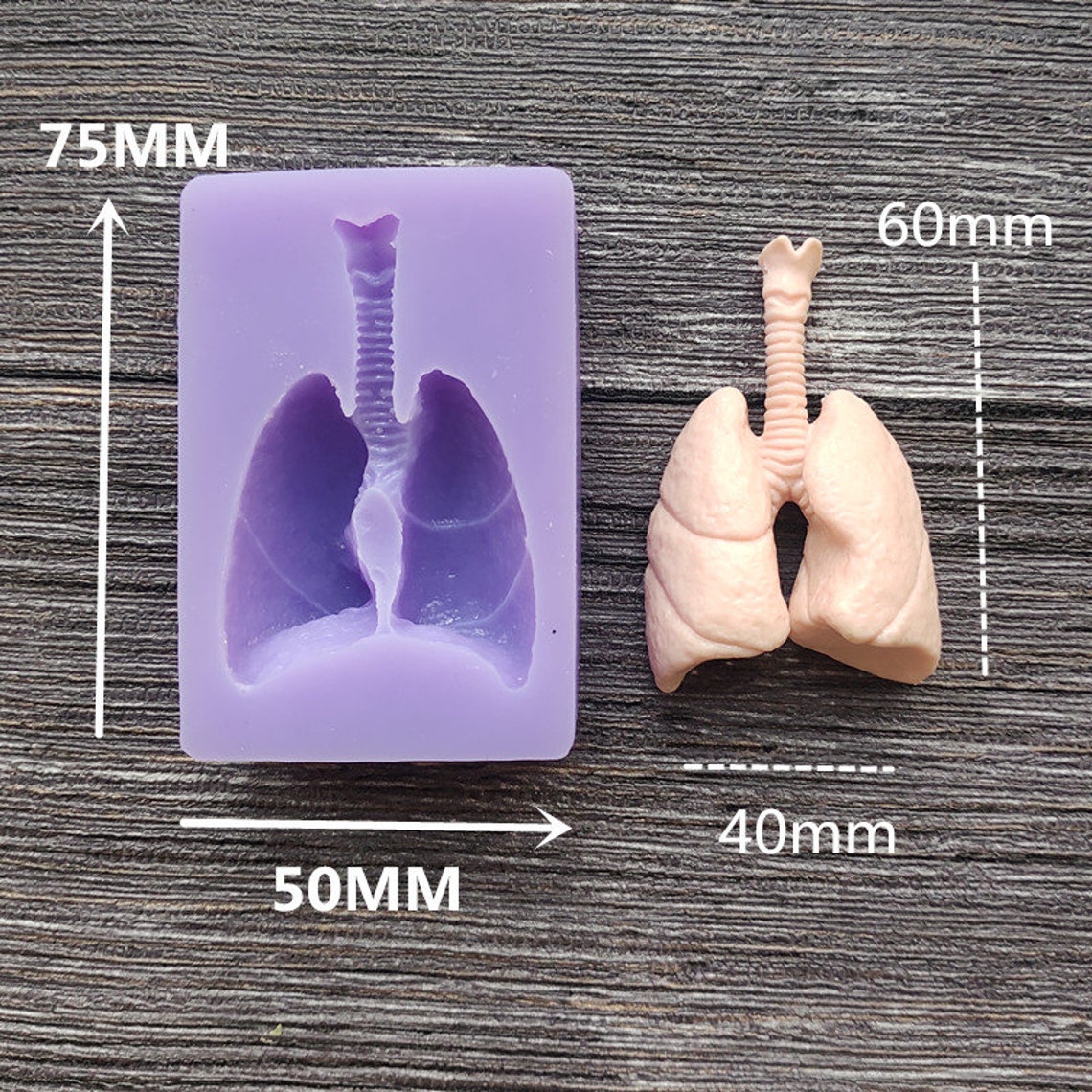 Ship From US 3D Human Internal Organs Silicone Mold 8 Sections Liver ...