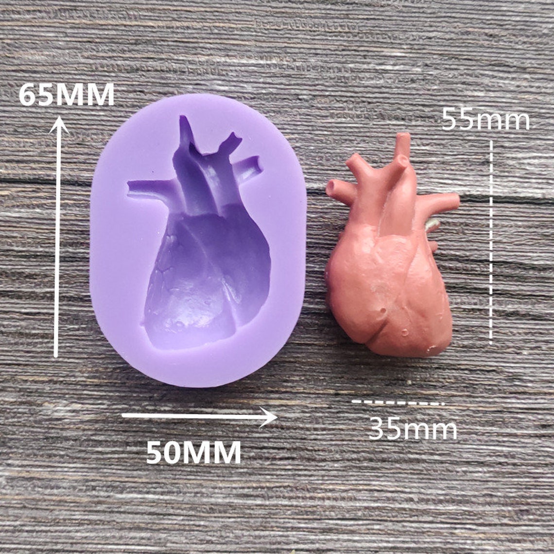 Ship From US 3D Human Internal Organs Silicone Mold 8 Sections Liver ...