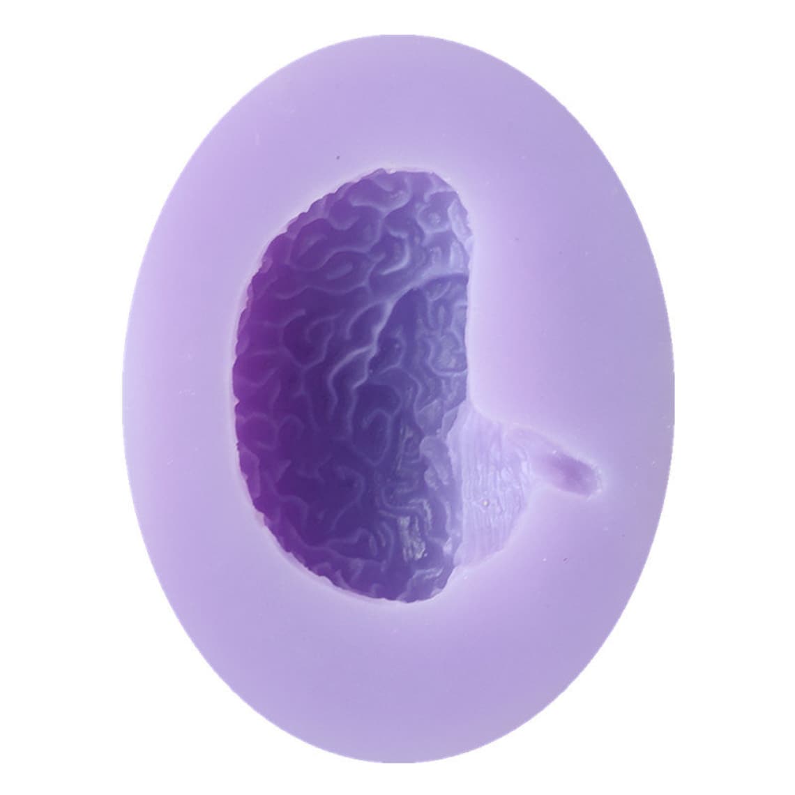 Ship From US 3D Human Internal Organs Silicone Mold 8 Sections Liver ...