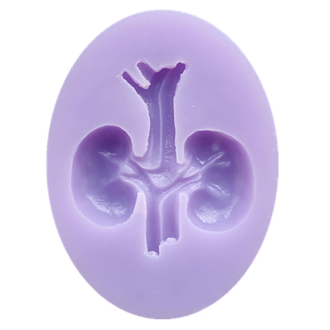 Ship From US 3D Human Internal Organs Silicone Mold 8 Sections Liver ...