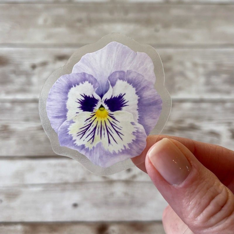 Pansy Decals - Etsy