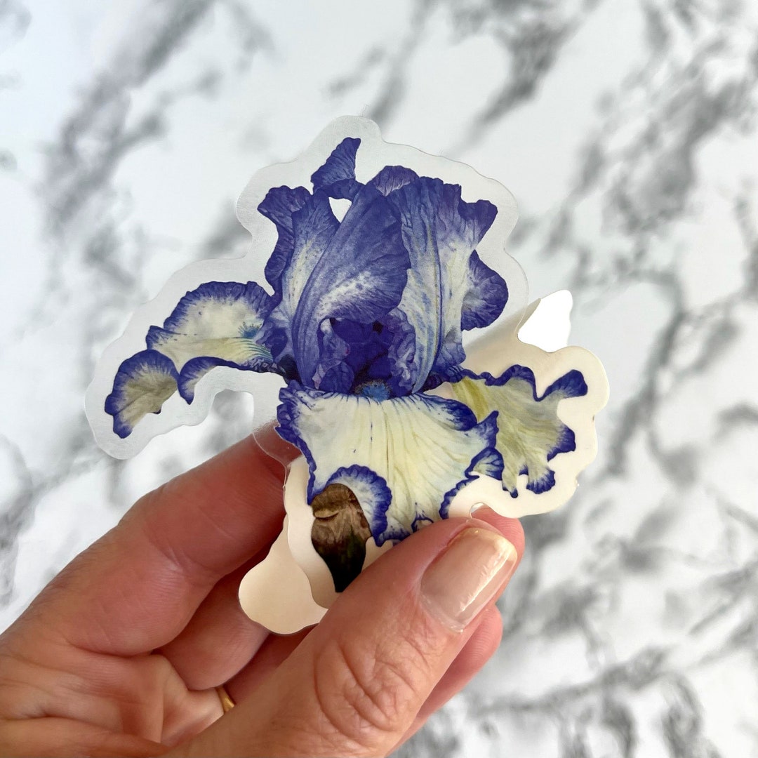 Clear Vinyl Bearded Iris Sticker Decal - Etsy