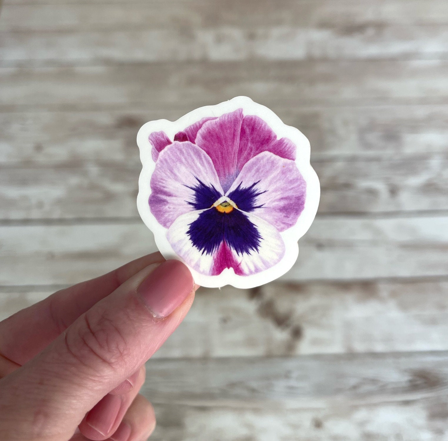 Clear Vinyl Pink Pansy Sticker - Etsy