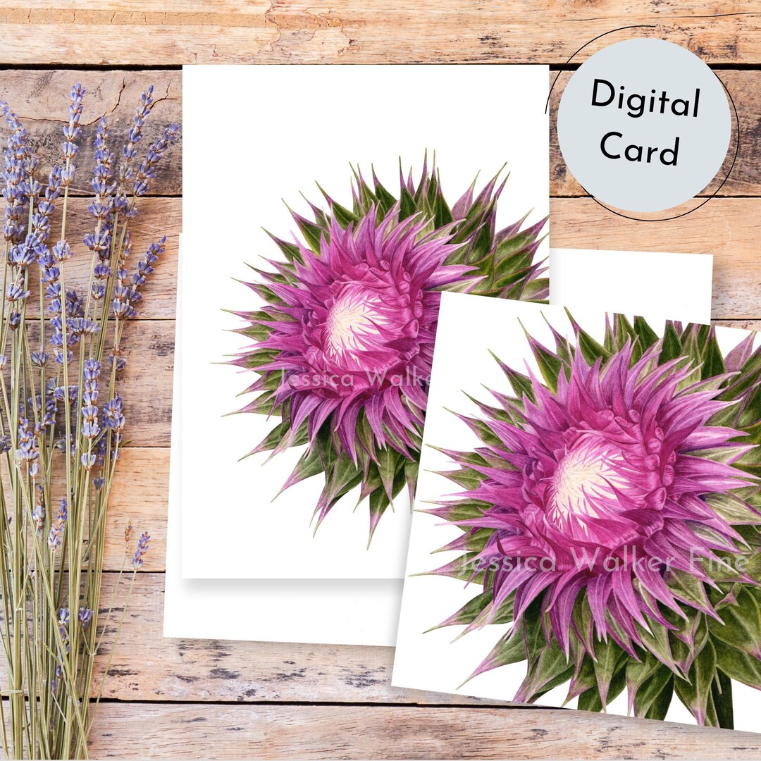 Printable Watercolor Milk Thistle Greeting Card, Original Art, Floral ...