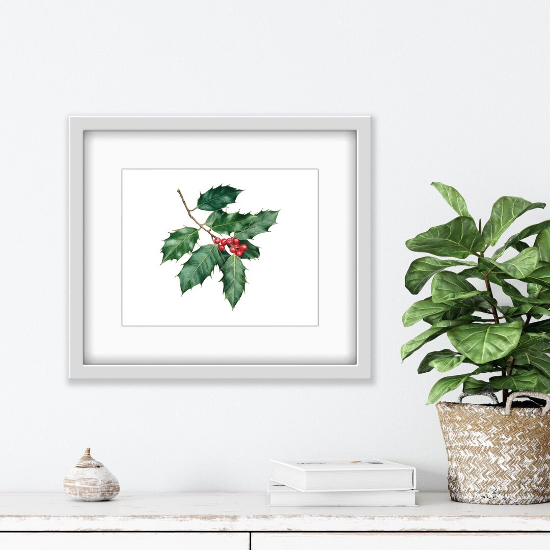 Holly Leaves Watercolor Botanical Art Print, Botanical Illustration - Etsy