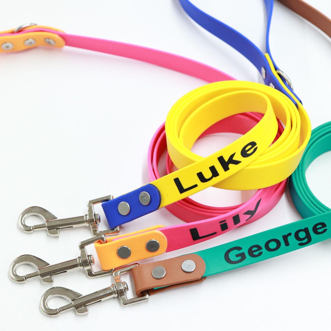 Personalized Dog Leash, 3/4'' Wide Biothane®,custom Name Pet Gear ...