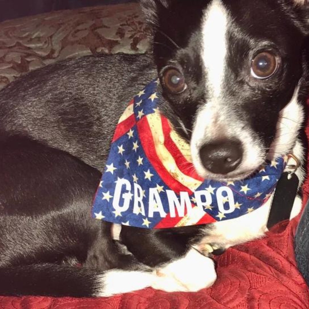 4th of July Dog Bandana, Over the Collar Patriotic Dog Scarf, American ...