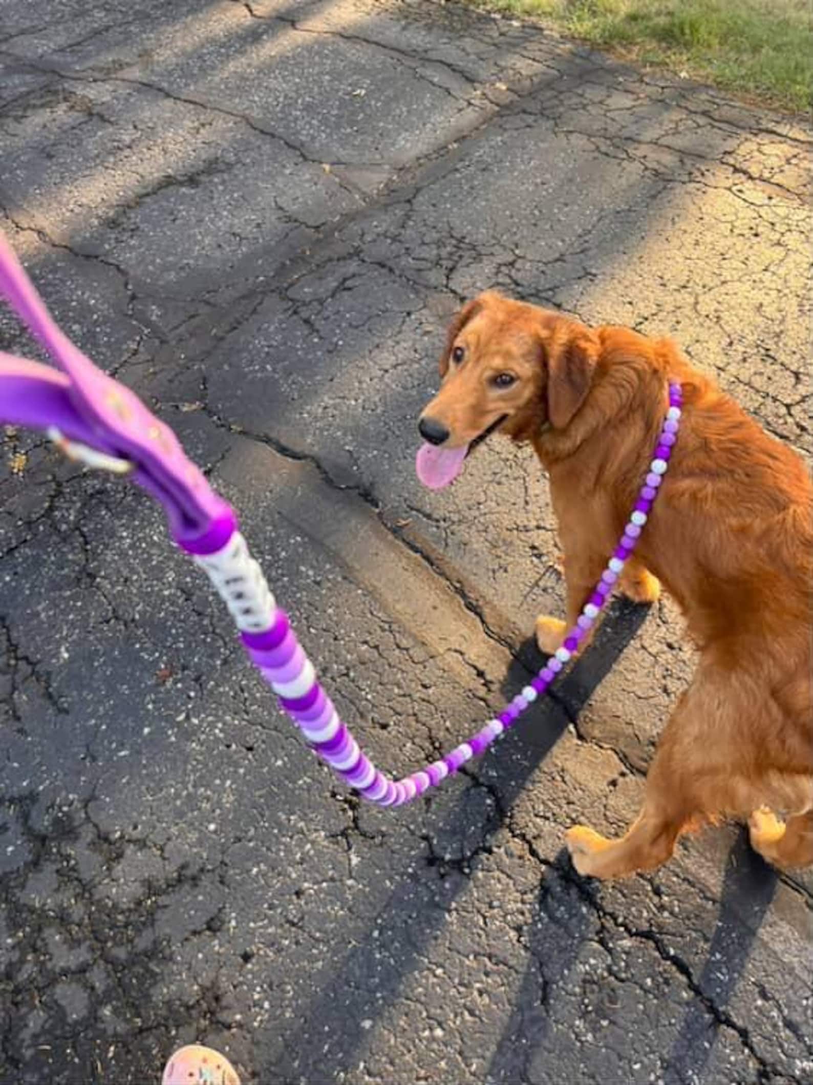 Personalized Beaded Dog Leash,custom Pet Gear, Waterproof Outdoor ...