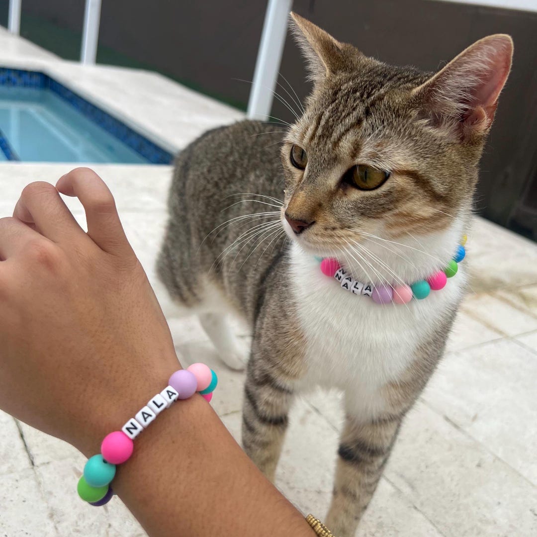 Friendship Bracelet Cat Collar Set,beaded Cat Name Necklace,matching ...