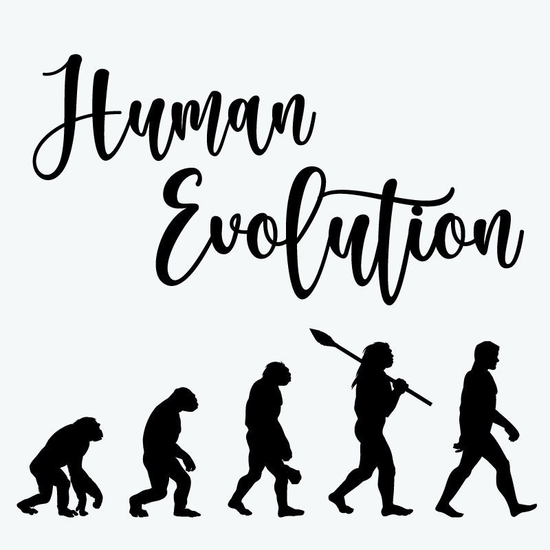 Evolution Svg Human Evolution Svg Mankind Svg Silhouette Svg - Etsy