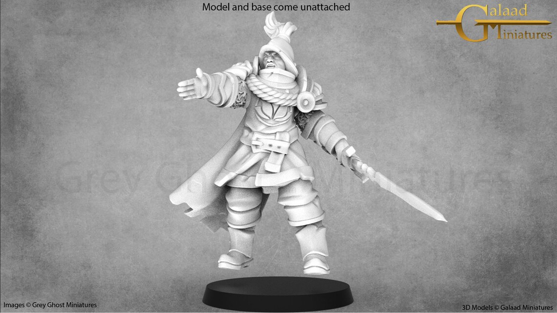 Royal Guard Miniatures | Queen | Guards | Knight | Galaad Miniatures - Etsy