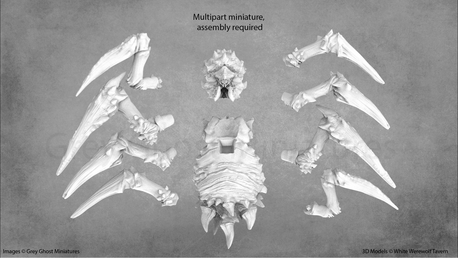 Giant Spider Model 32mm Spider Miniature White Werewolf - Etsy