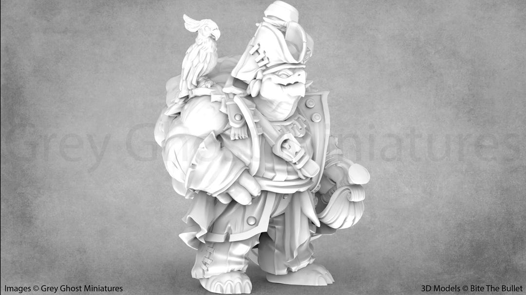 Tortle Miniature Set: Resin Cleric, Monk, Druid - D&D Tabletop RPG - Etsy